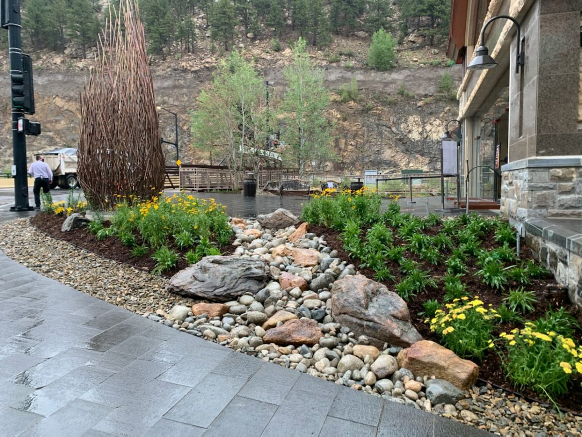 Plantings and Xeriscaping Gallery - Colorado Nature Design